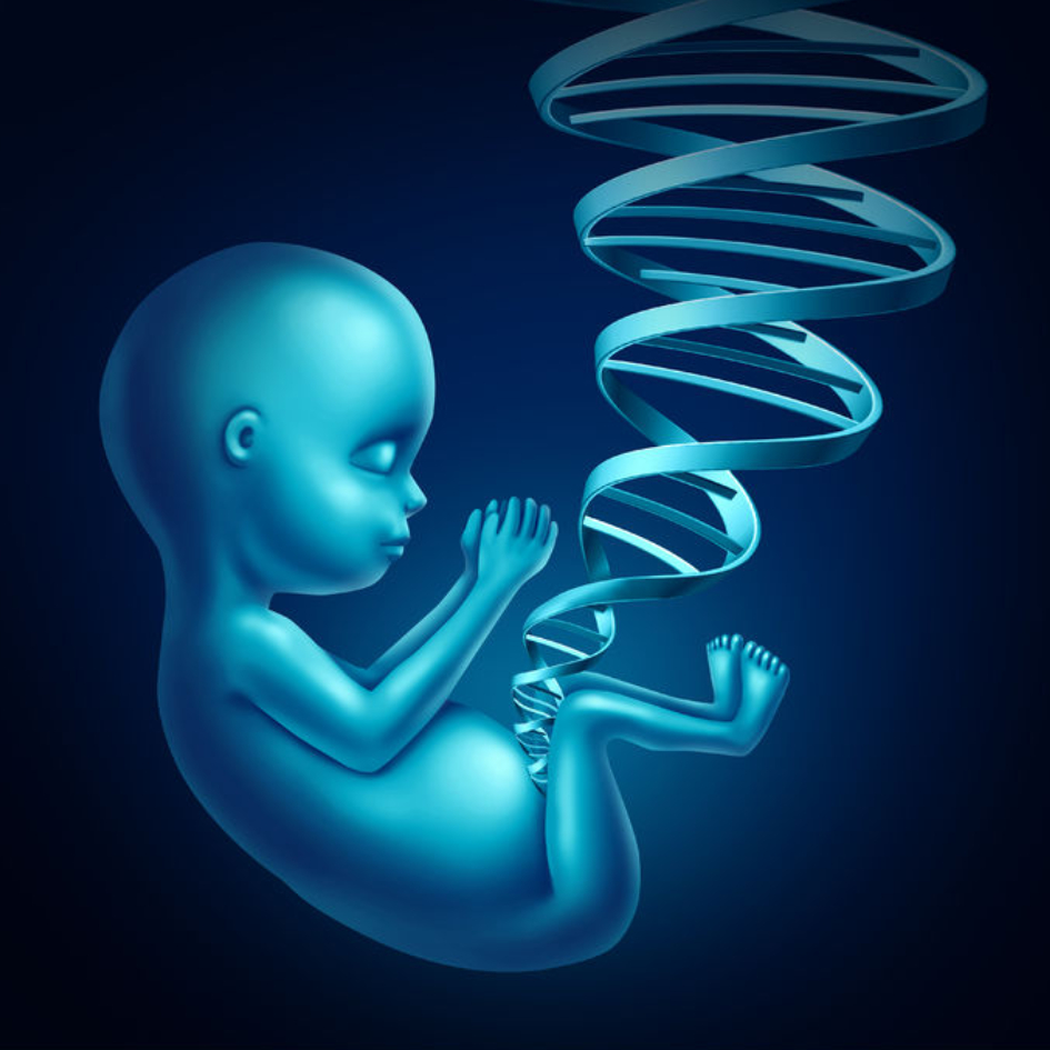 ESTUDIO DE ADN FETAL NO INVASIVO